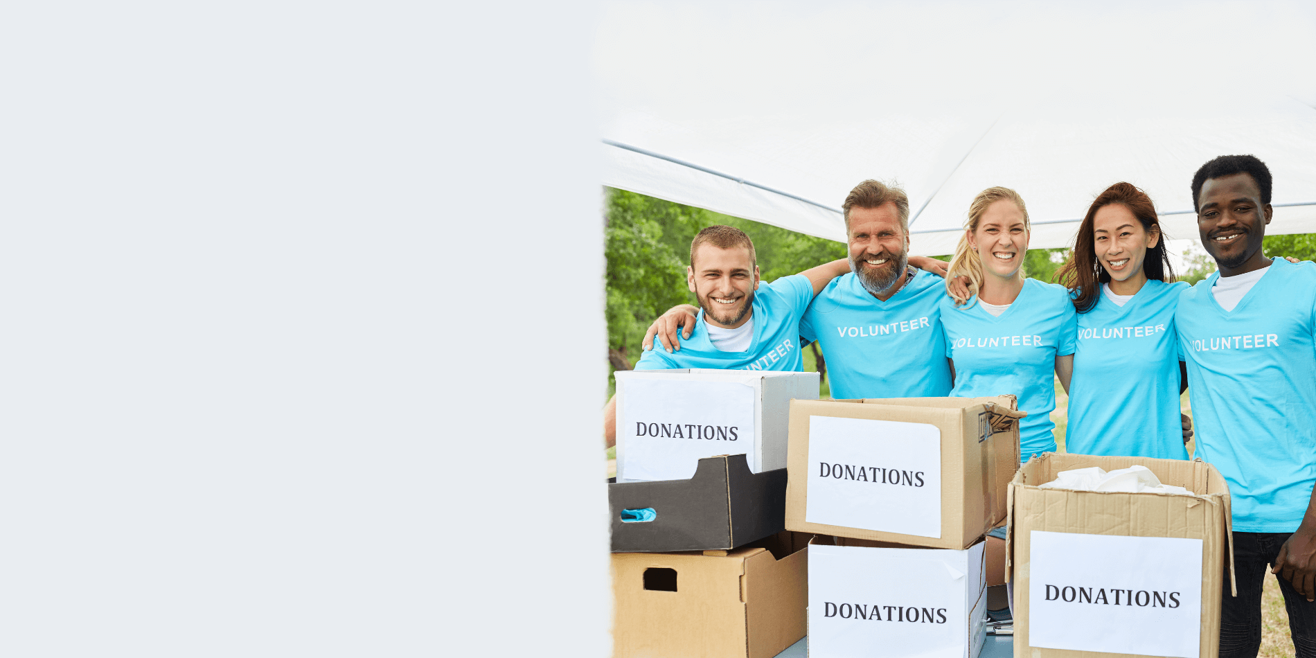 NFP Strategy - ECLEVA